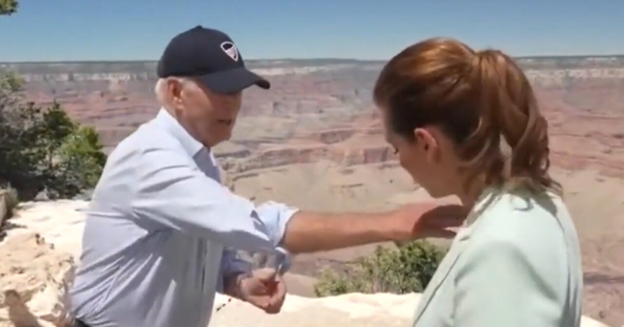President Biden Brushes Bug Off Stephanie Abrams’ Chest During Weather ...