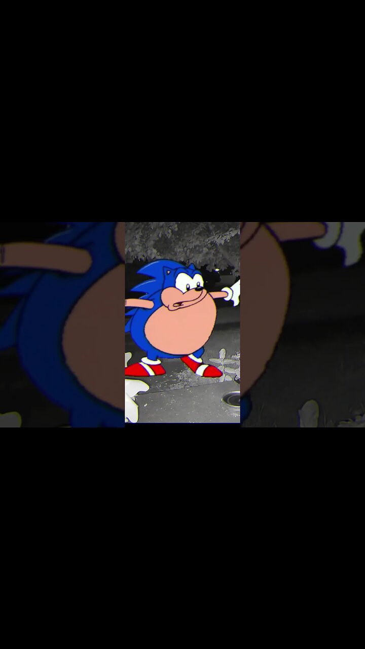 Fat Sonic Returns! #Fat #SonicTheHedgehog #Returns 🌭