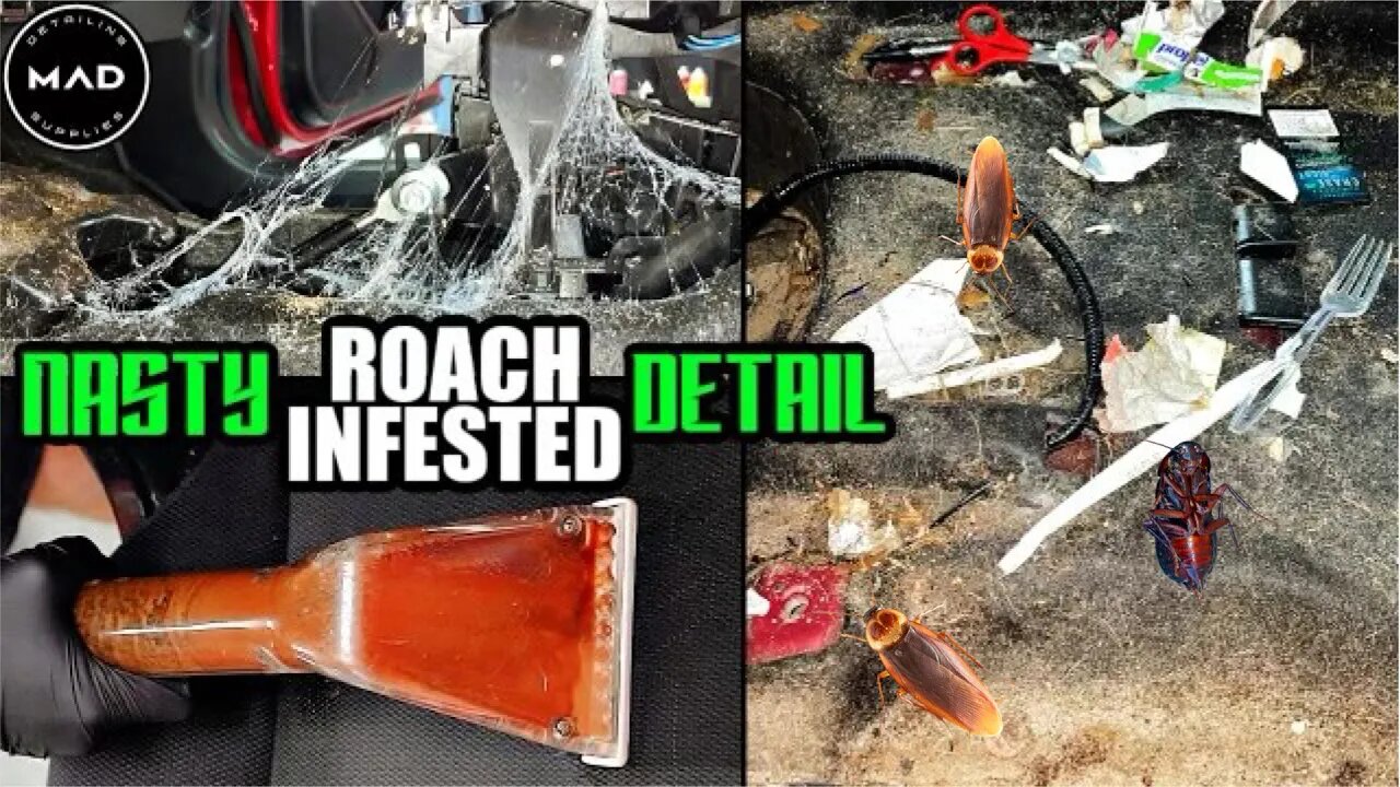 Super Cleaning a NEGLECTED Honda | NASTY Roach Infested Car | Insane ...
