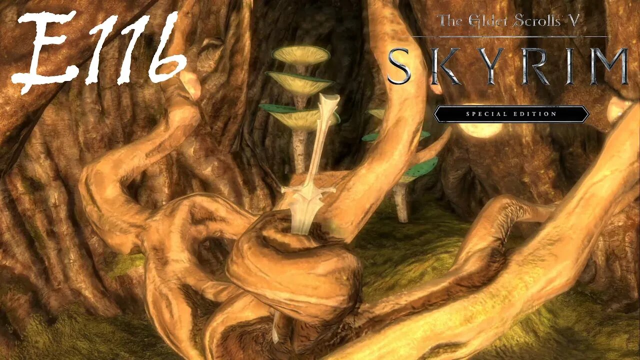 Restoring Order - Investigating Solitude Sewers // Skyrim // Episode 116