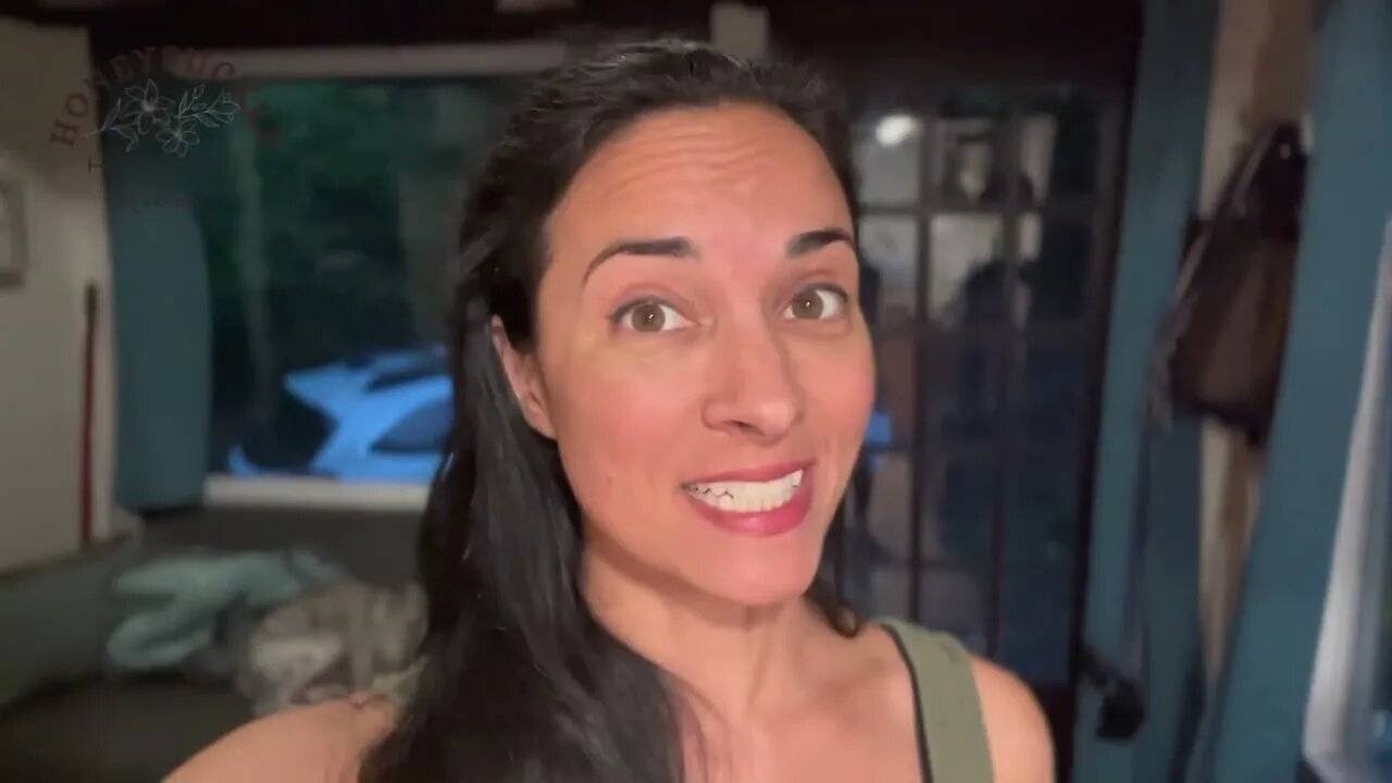 Did the Robbers Return?? Checking on Tiny House 2 Weeks After the Break ...