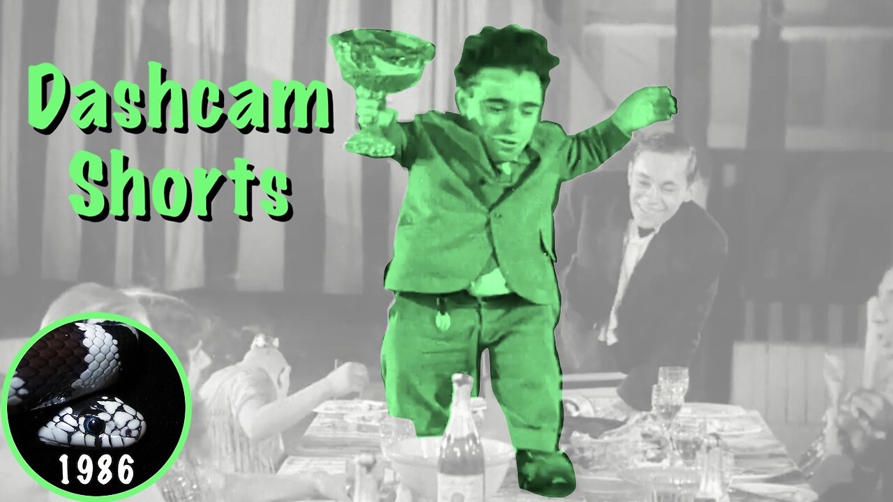 Wrong Way Driver! (Kingsnakes Dashcam Short #8)