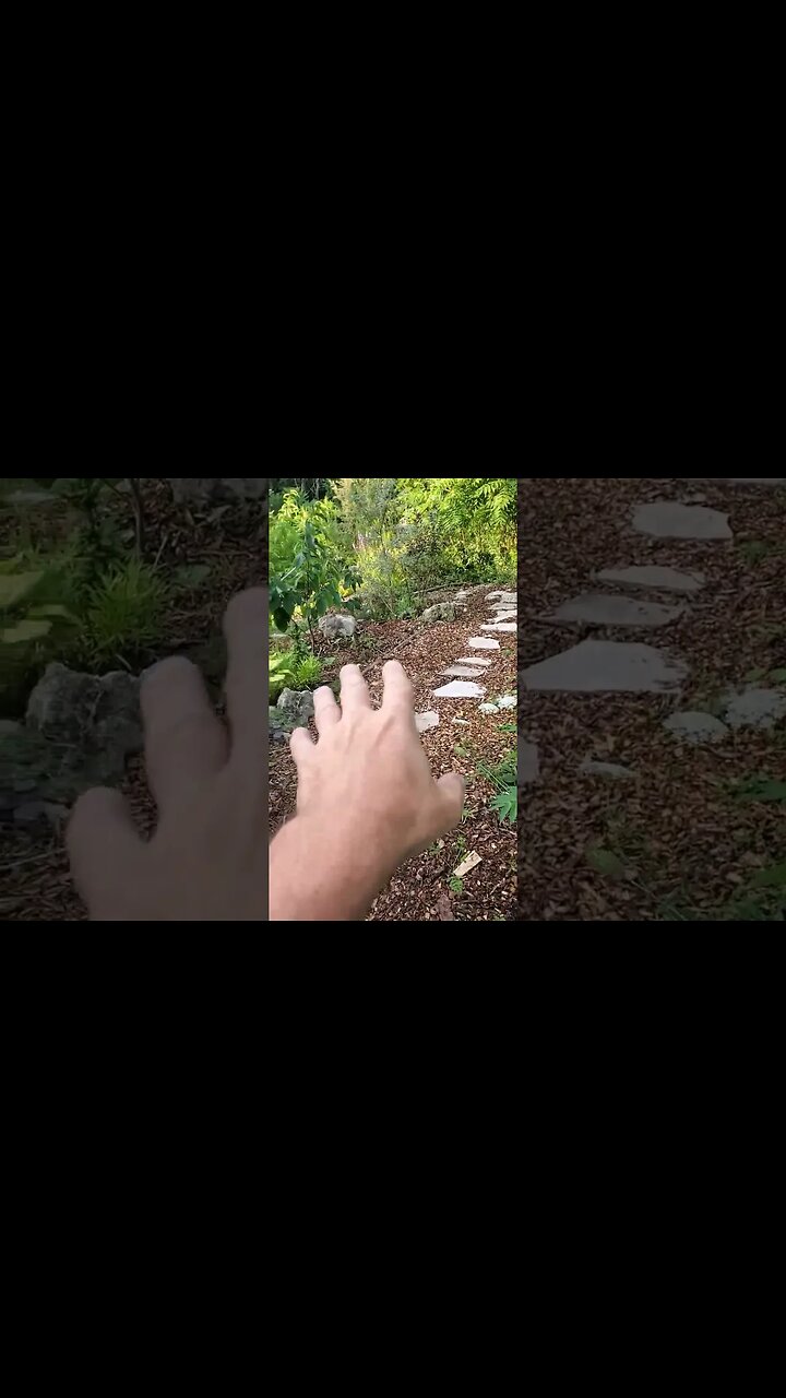 Huge collab with a vlogger who films the world's nicest water features!