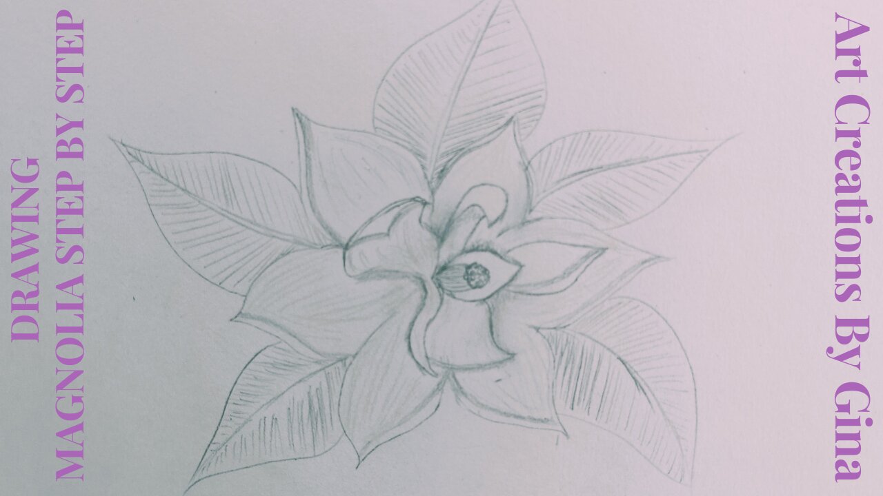 DRAWING MADE EASY: Step-by-Step Magnolia Flower Tutorial for Beginners