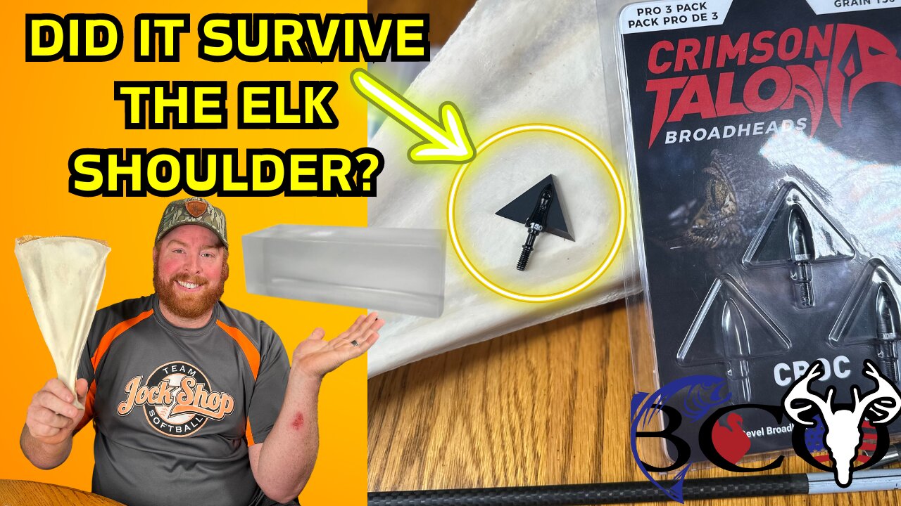 crimson talon 150 grain croc single bevel broadhead test | bco review