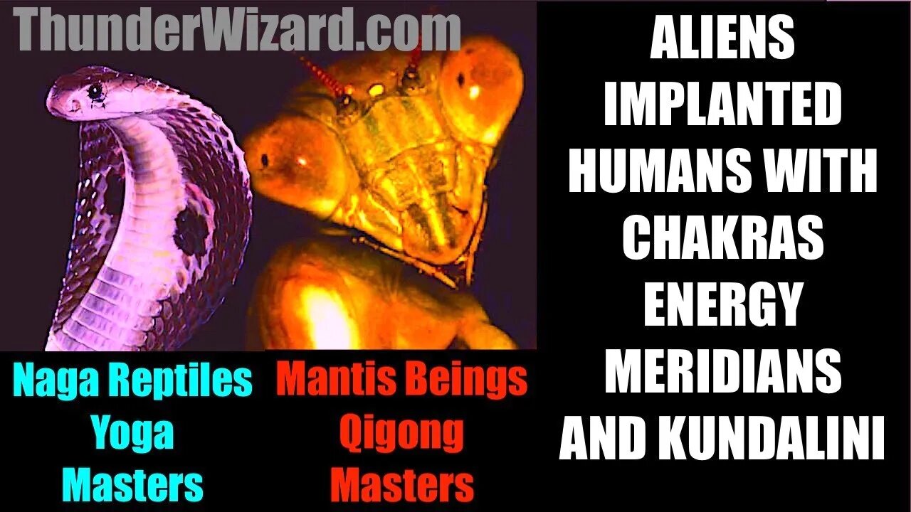ALIENS IMPLANTED HUMANS WITH CHAKRAS, KUNDALINI AND ENERGY MERIDIANS ...