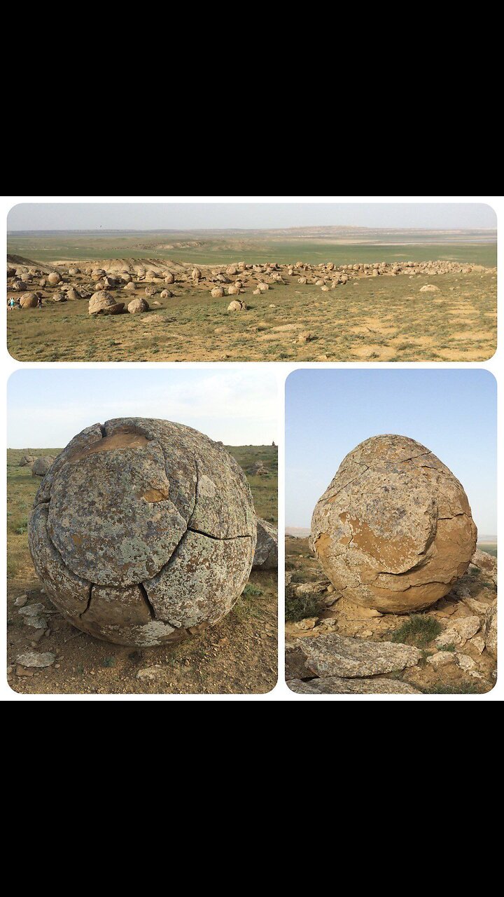 Some kind of Petrified giant seeds?