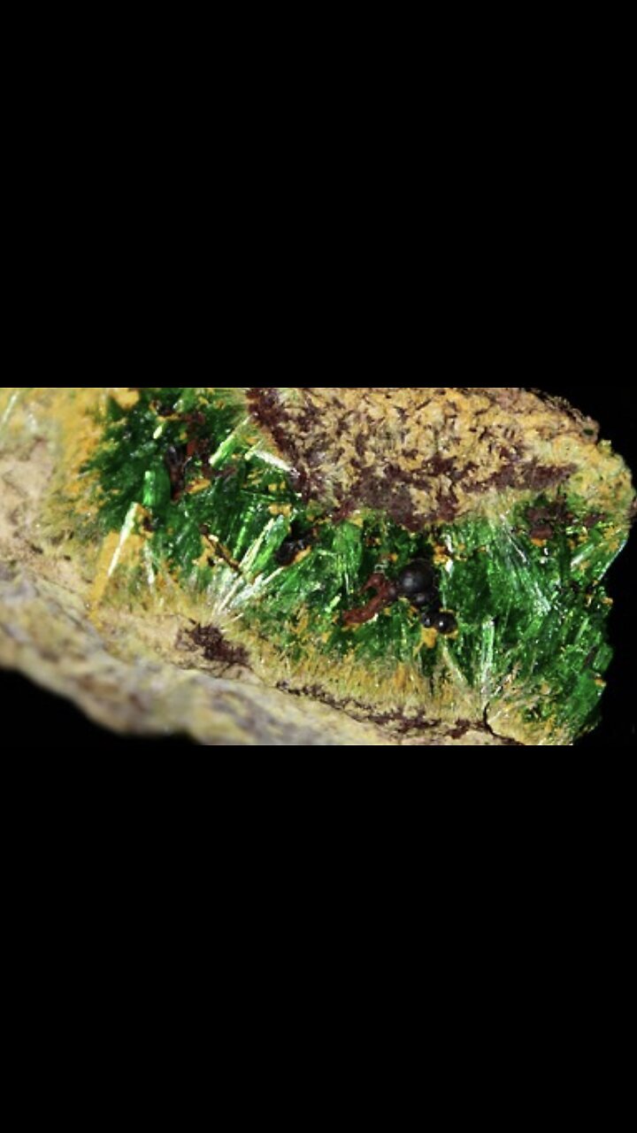 Cuprosklodowskite with Soddyite from Musonoi Mine, DR Congo (Uranium ...