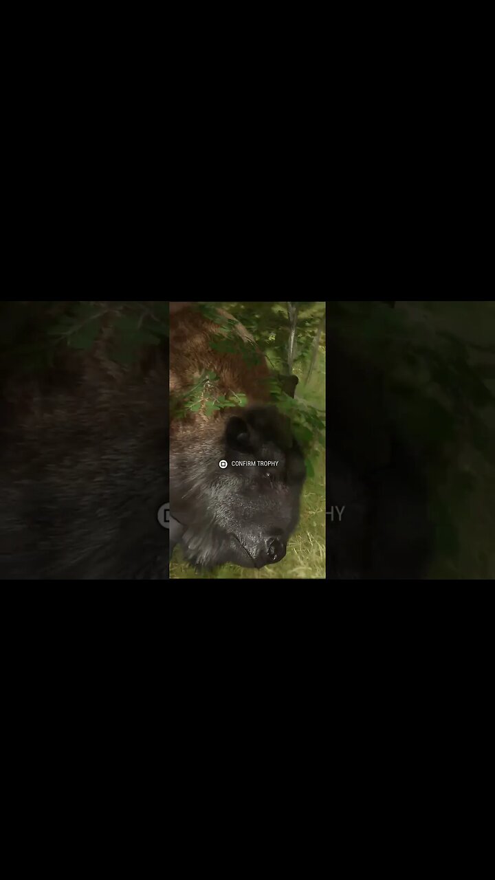 🏹 Traditional 💎 Diamond Bison BOW Hunt - theHunter: Call of the Wild # ...