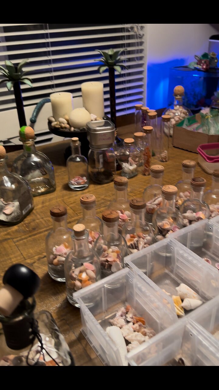 Sand & Shell Bottle Restock! | 4K