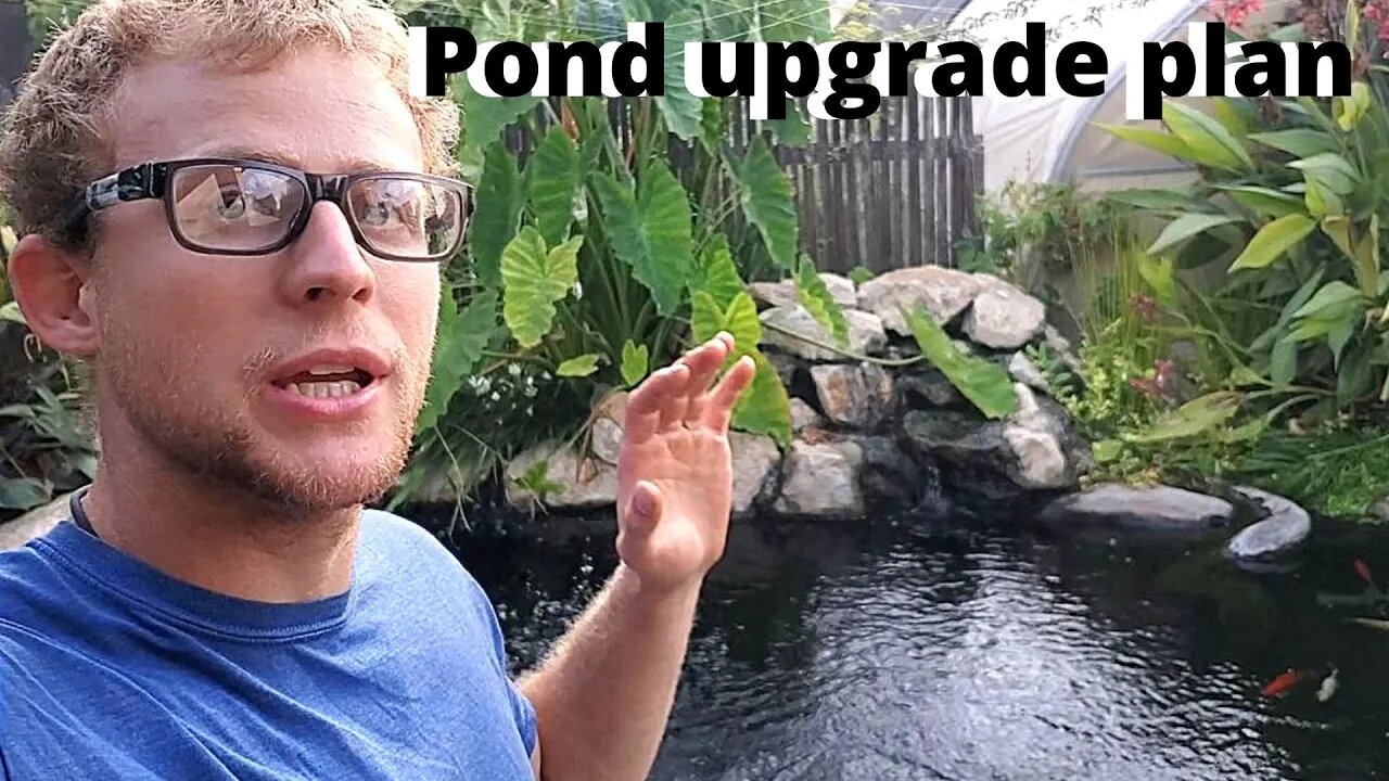 Koi pond improvement plan (koi pond aquaponics system)