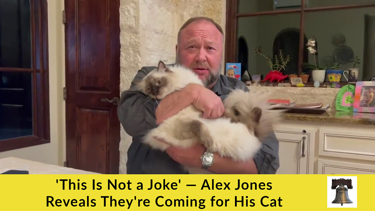 'This Is Not a Joke' — Alex Jones Reveals They're Coming for His Cat