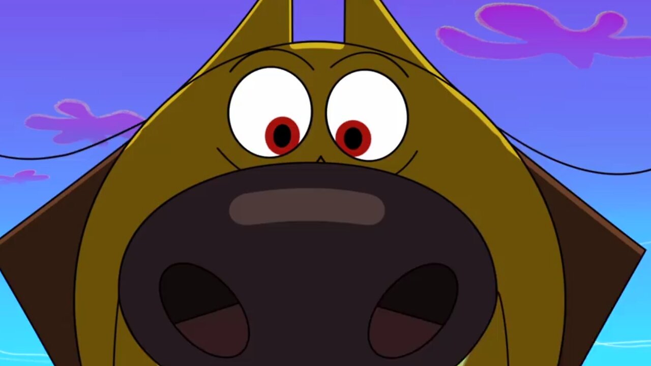 Zig and sharko new version