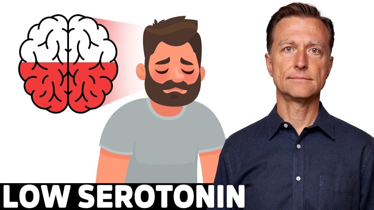 The REAL Reason Why Your Serotonin Is Low and You Have Depression and ...