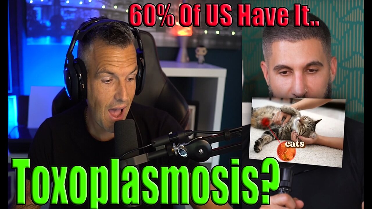 TOXOPLASMOSIS: THE CAT PARASITE.. What Are The Symptoms