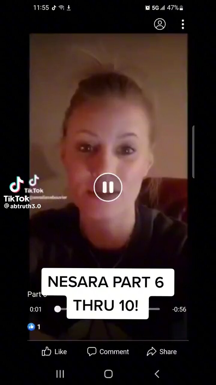 Nesara breakdown continued