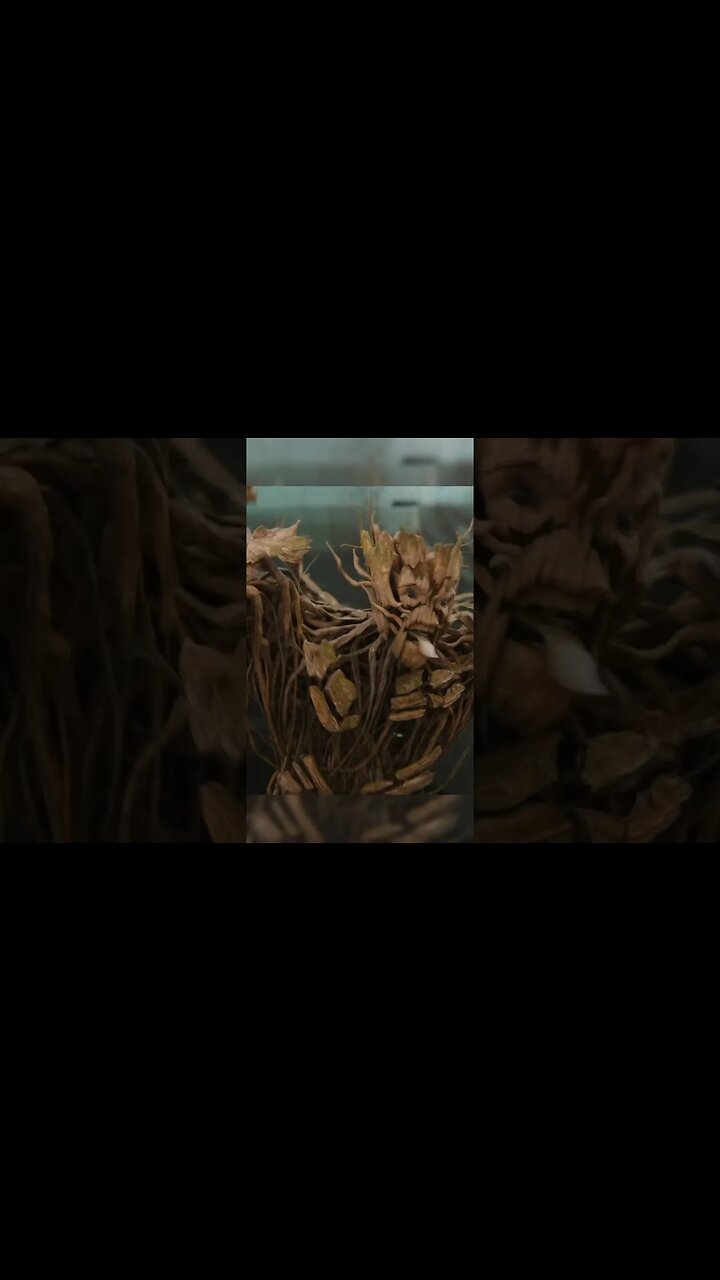 Groot goes full Kaiju on everybody #guardiansofthegalaxyvol3