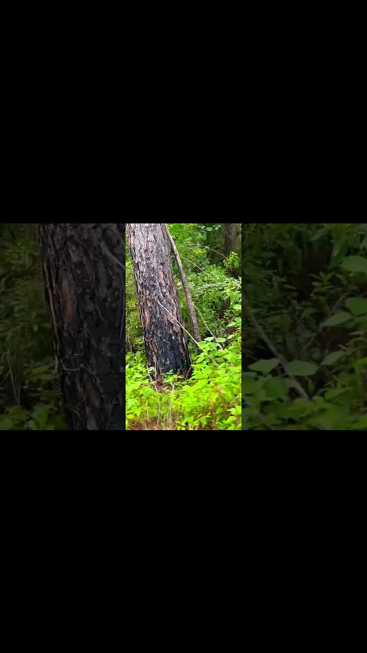 Day In The Life Of A Florida Hood 💯