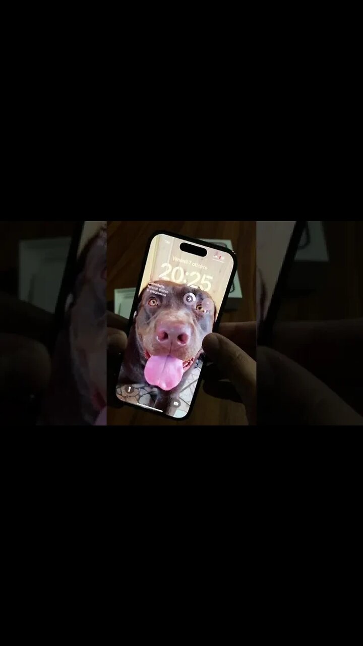 APPLE IPHONE 14 PRO 4K CON DOLBY VISION