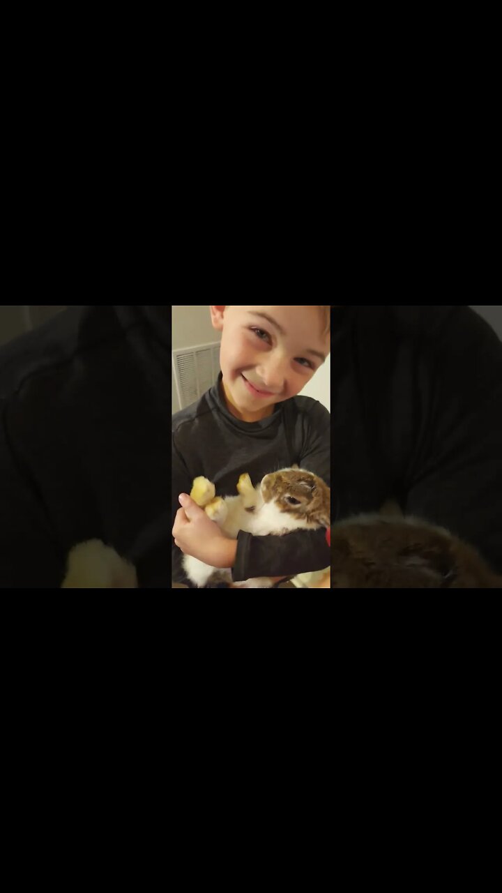 Micah & his Bunny
