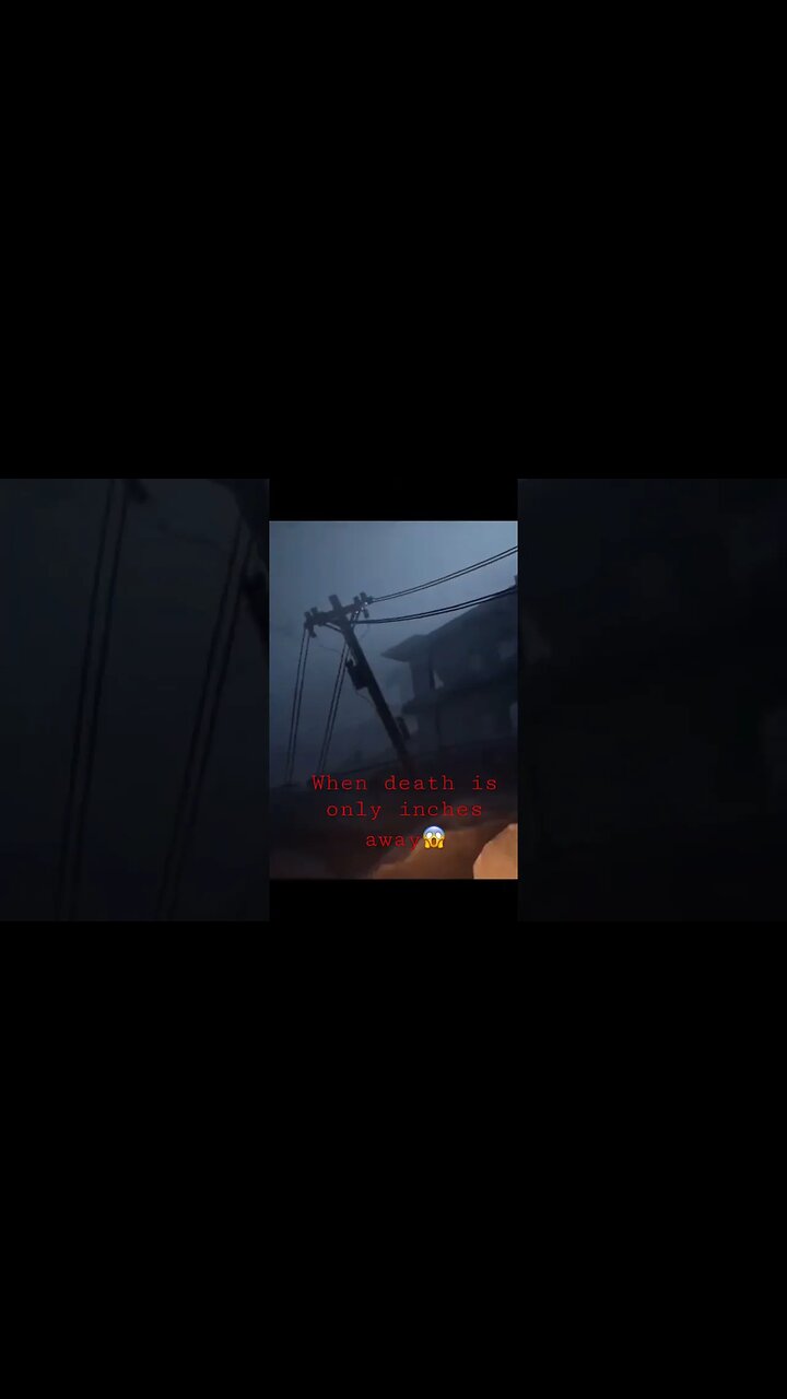 Terminatorsрџ ђрџ ђ