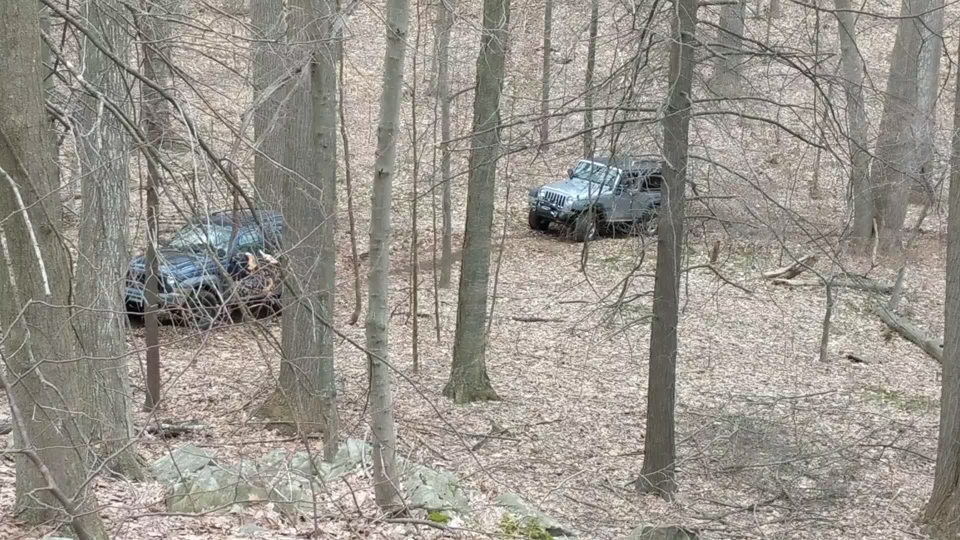 Jeep liberty offroad get huge dent tree limb kicks up, rough trails