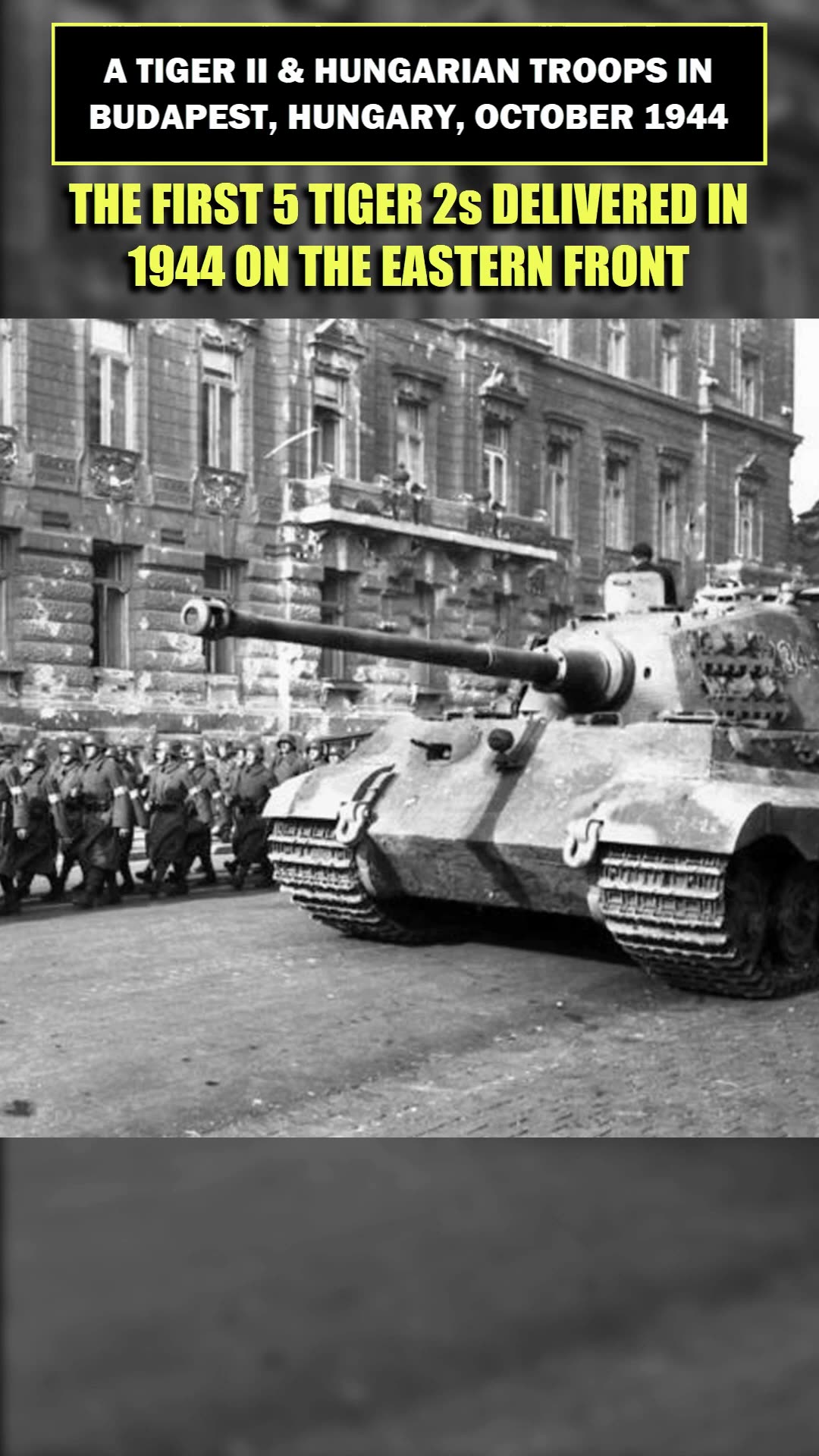 Every WW2 Soldier Was Scared Of This German Tank