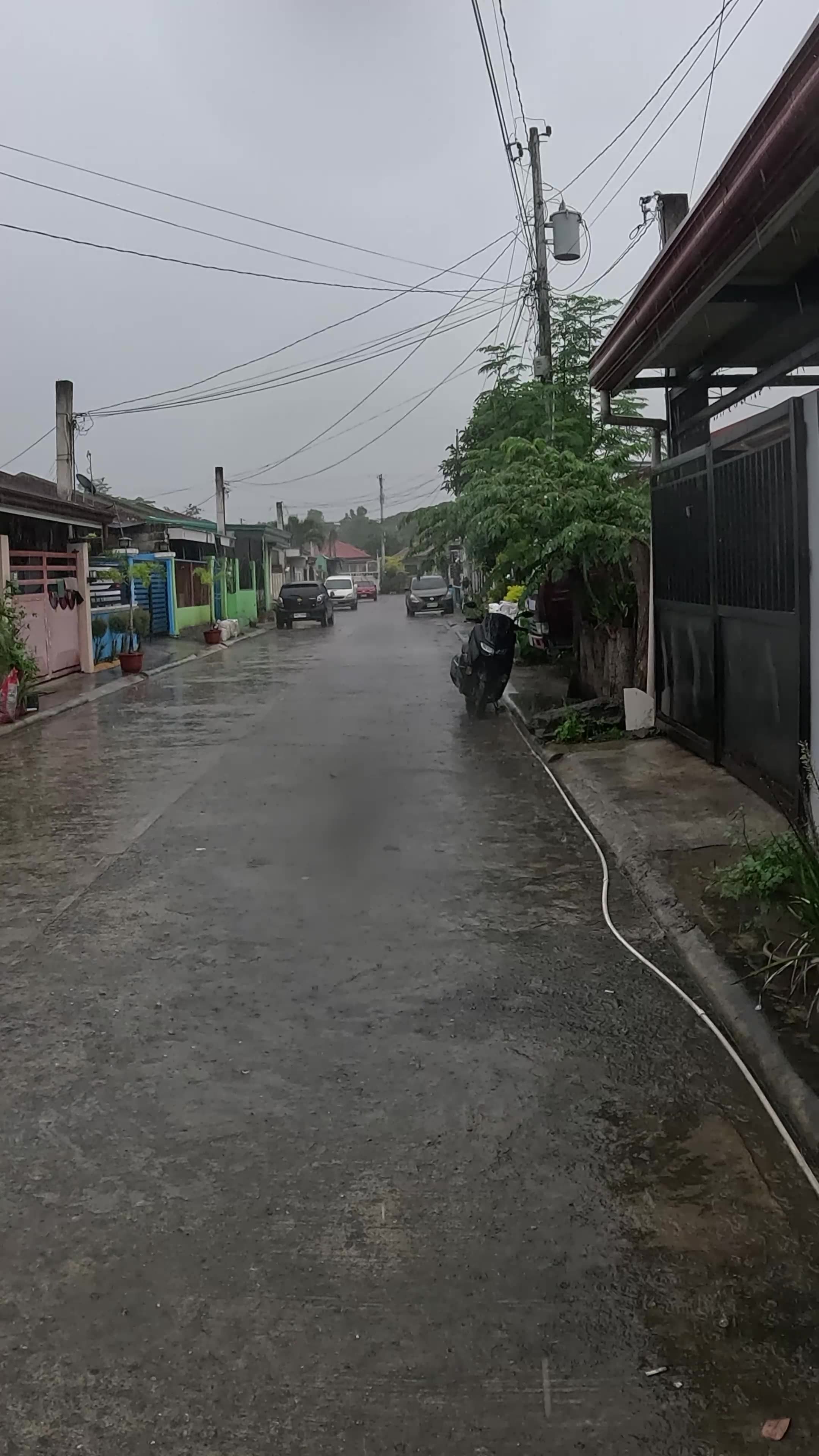 Afternoon thunderstorm brings strong rain and some big thunder!!