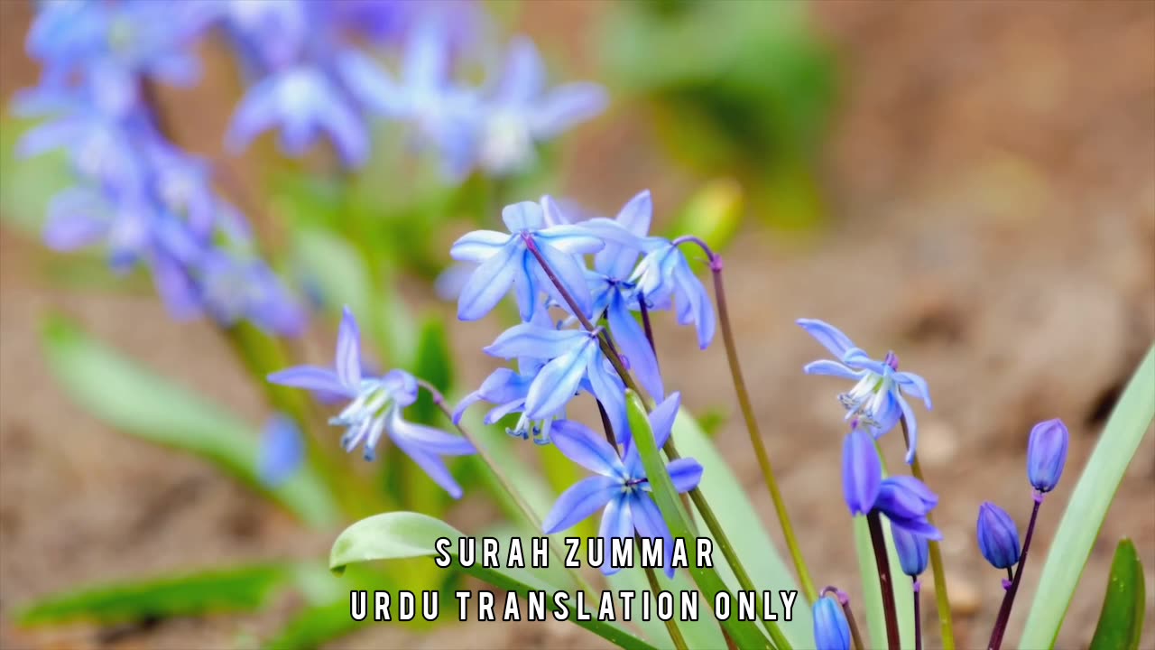 Surah Zummar | Urdu Translation | Natural Visualisation | Anxiety Buster
