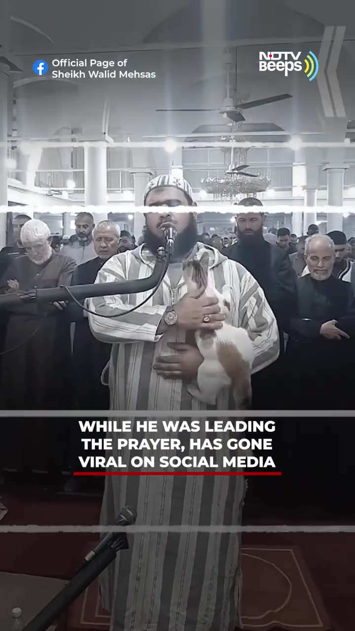 Viral: Cat Jumps On Imam During Ramadan Prayers