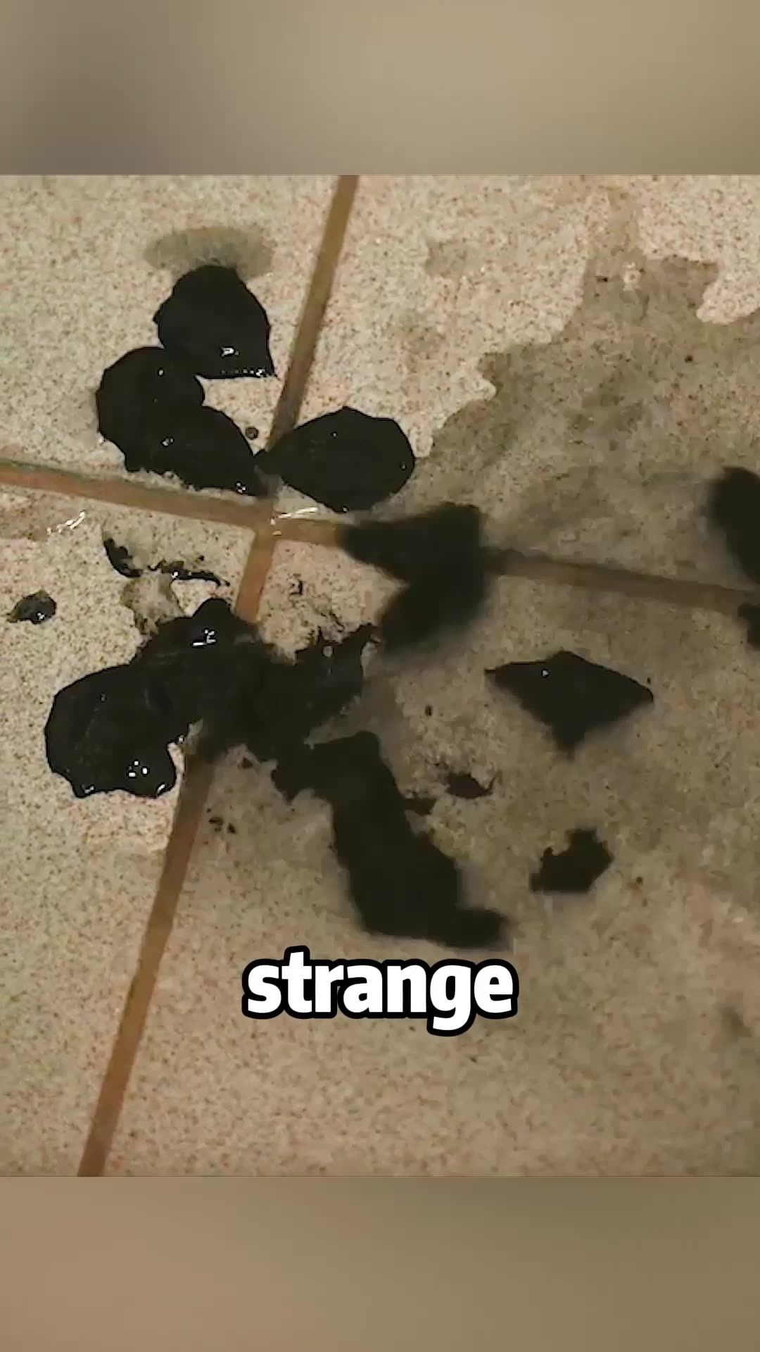 A woman is pregnant, but who knows what's in her belly#shorts