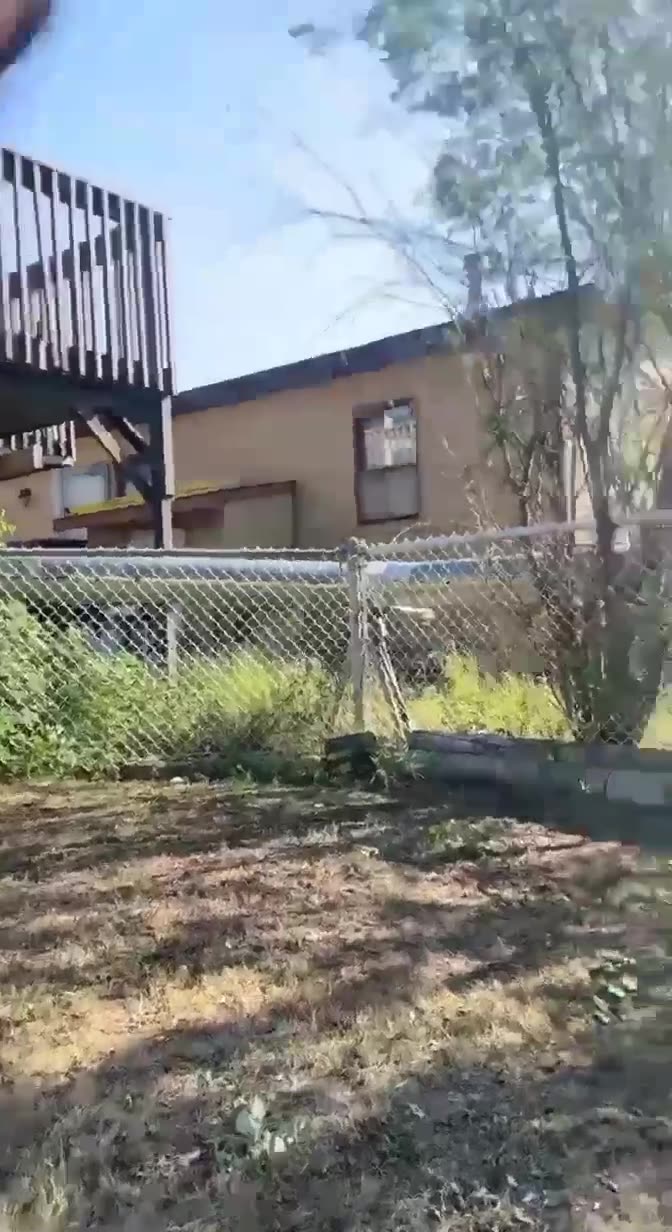 Wooden Swing Set Collapses On Playful Adults