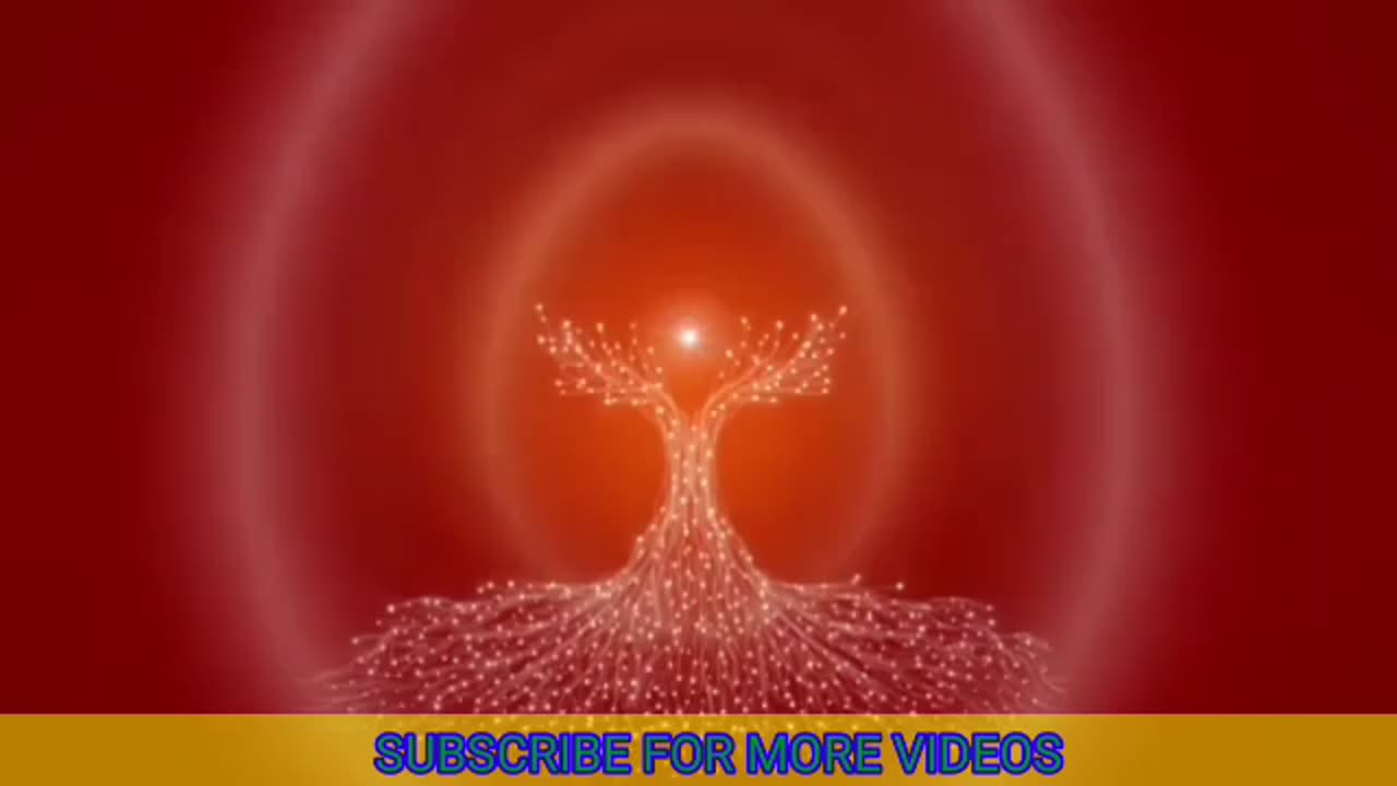 A Day In The Life Of Dan