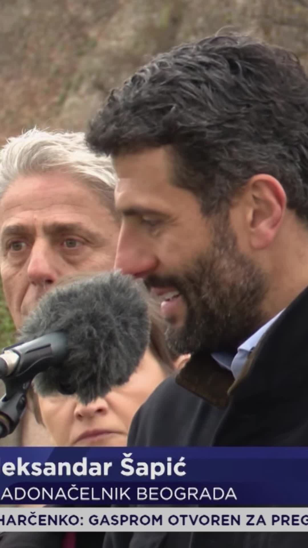 Sapic rekao Ani 🤣🤣🤣 #sapic #brnabic #SNS