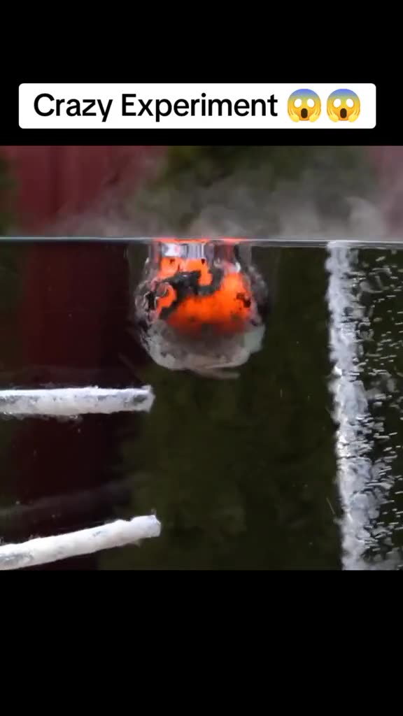 Crazy science experiment you should see 😱🧬🧪