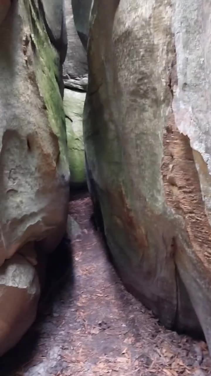 WOW 🤯THE CHANNELS ~VIRGINIA