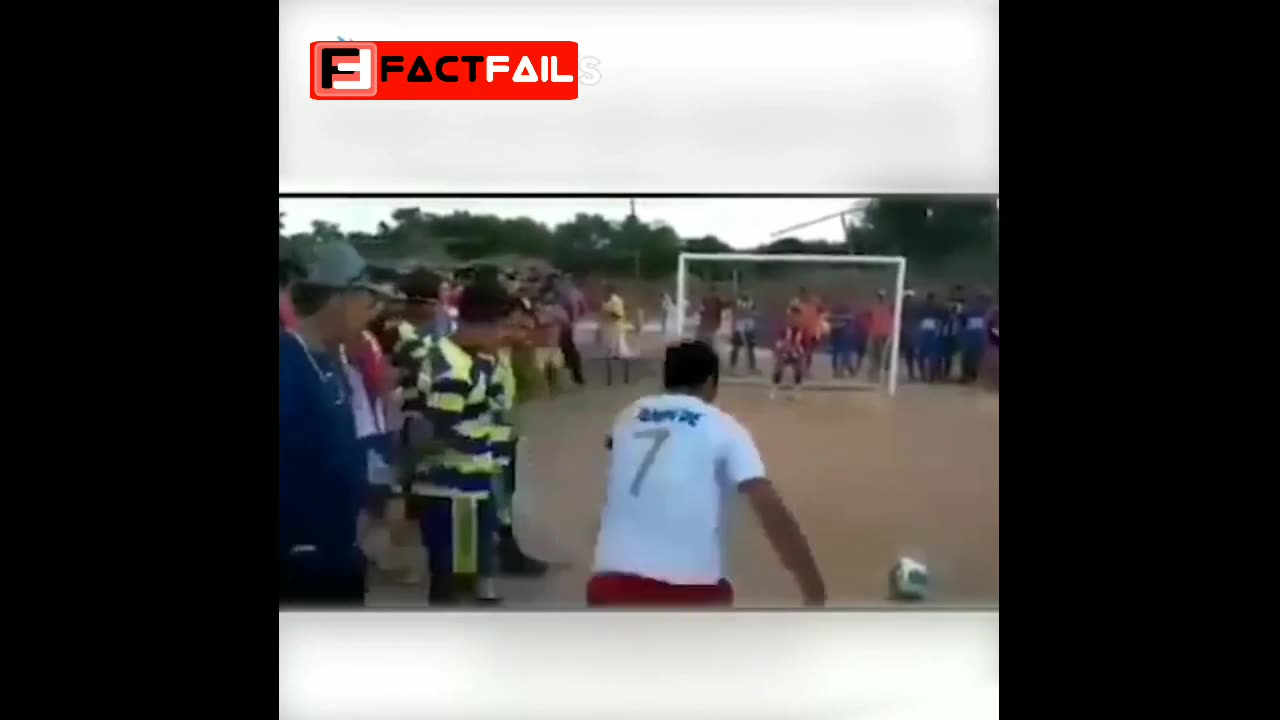 A collection of funny videos that will make you laugh out loud in 2020 ...