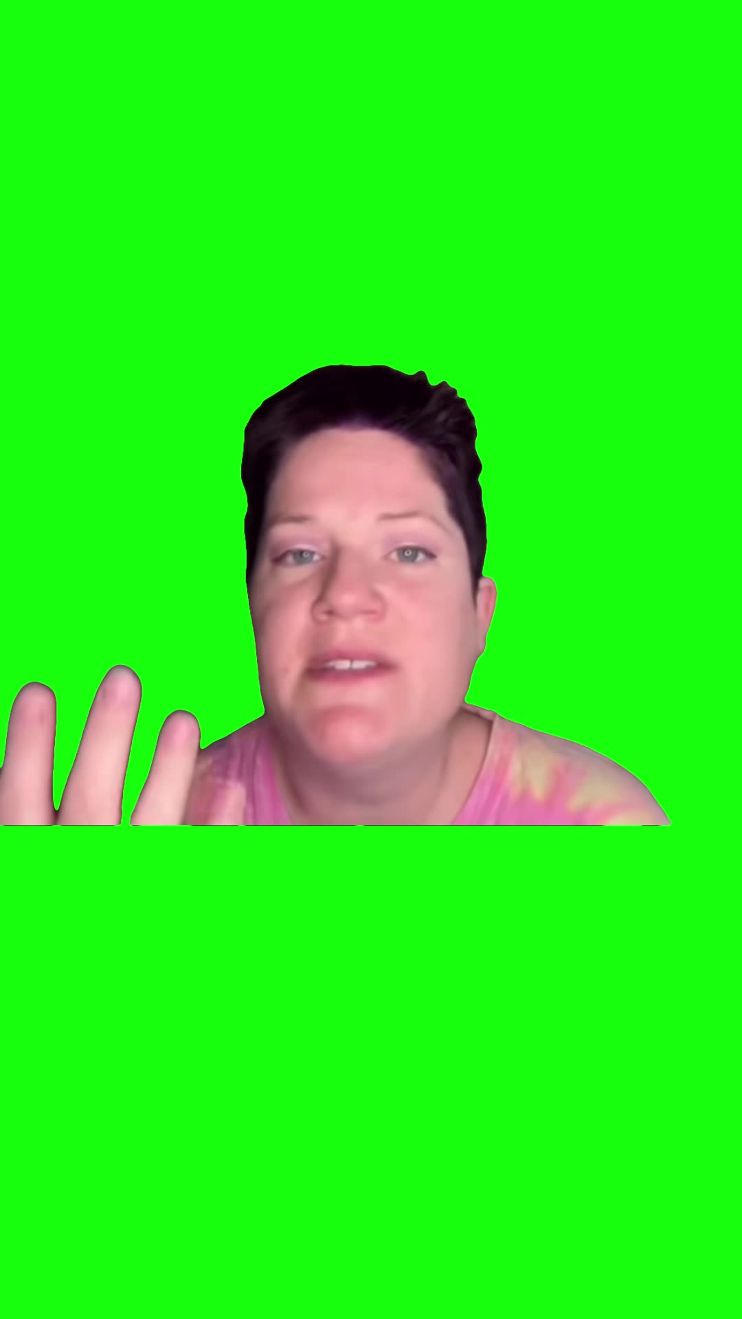 I’ve Been Fired, I’ve Been Arrested | Green Screen