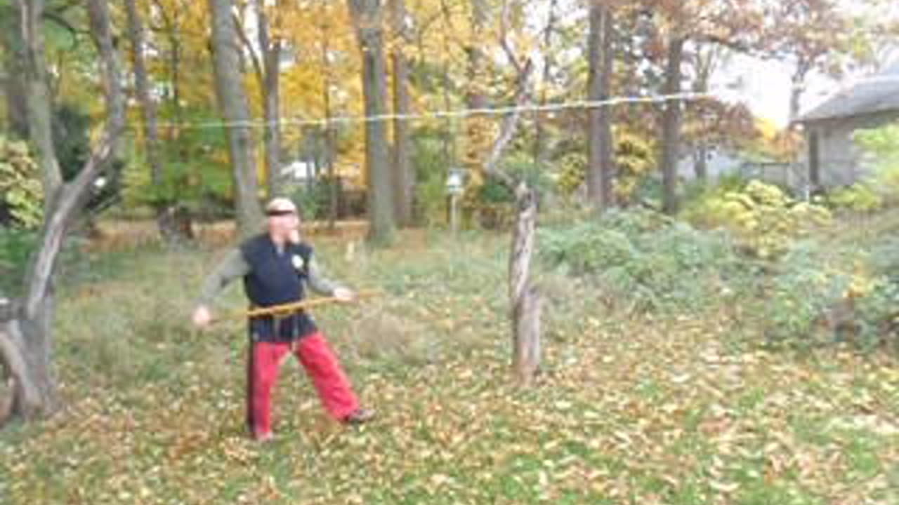 Celtic Kung Fu Bachal Isu Form