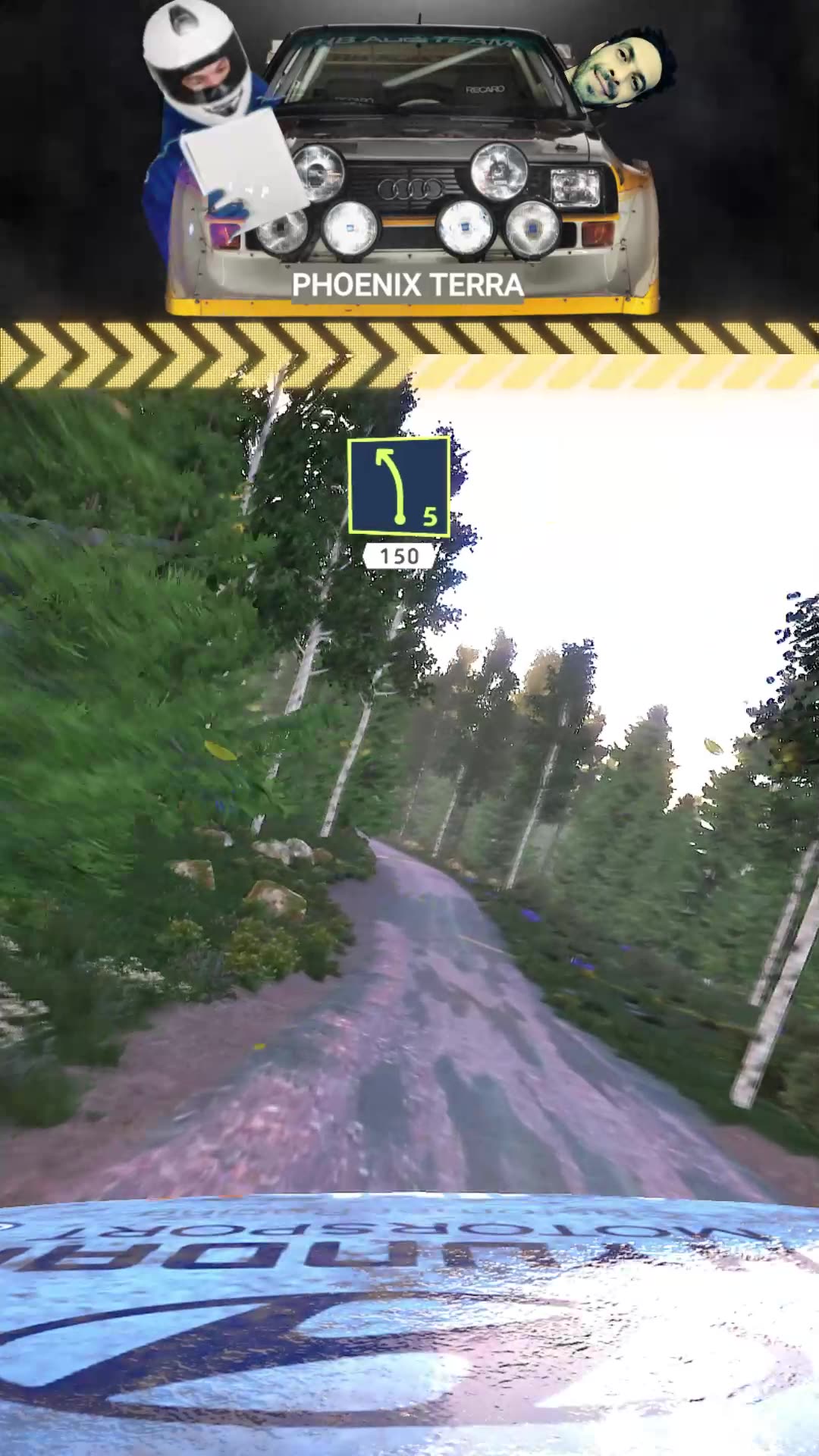 😱 Novas Pace Notes de um Co-piloto em Pânico no WRC! 🚗💥 New Pace Notes ...