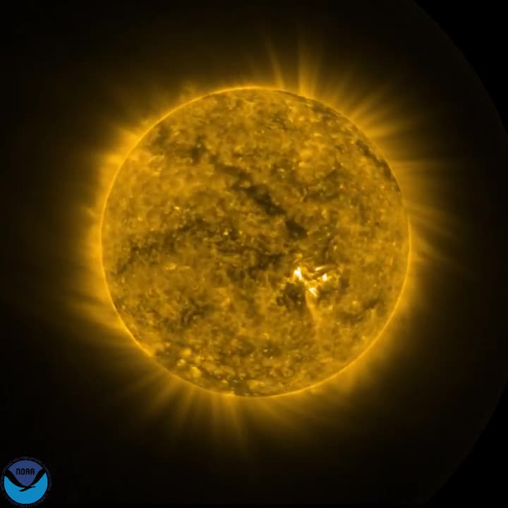 What Does the Sun Look Like? NOAA Satellite Captures Full Rotation of ...