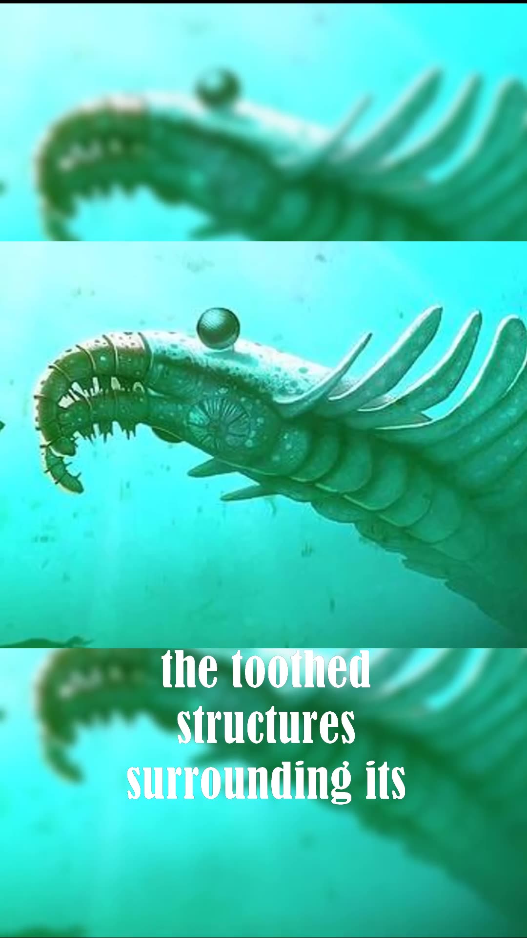 How The Anomalocaris Was The First Apex Predator!