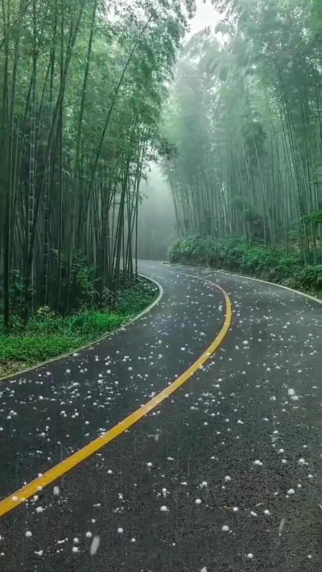 rain with snow