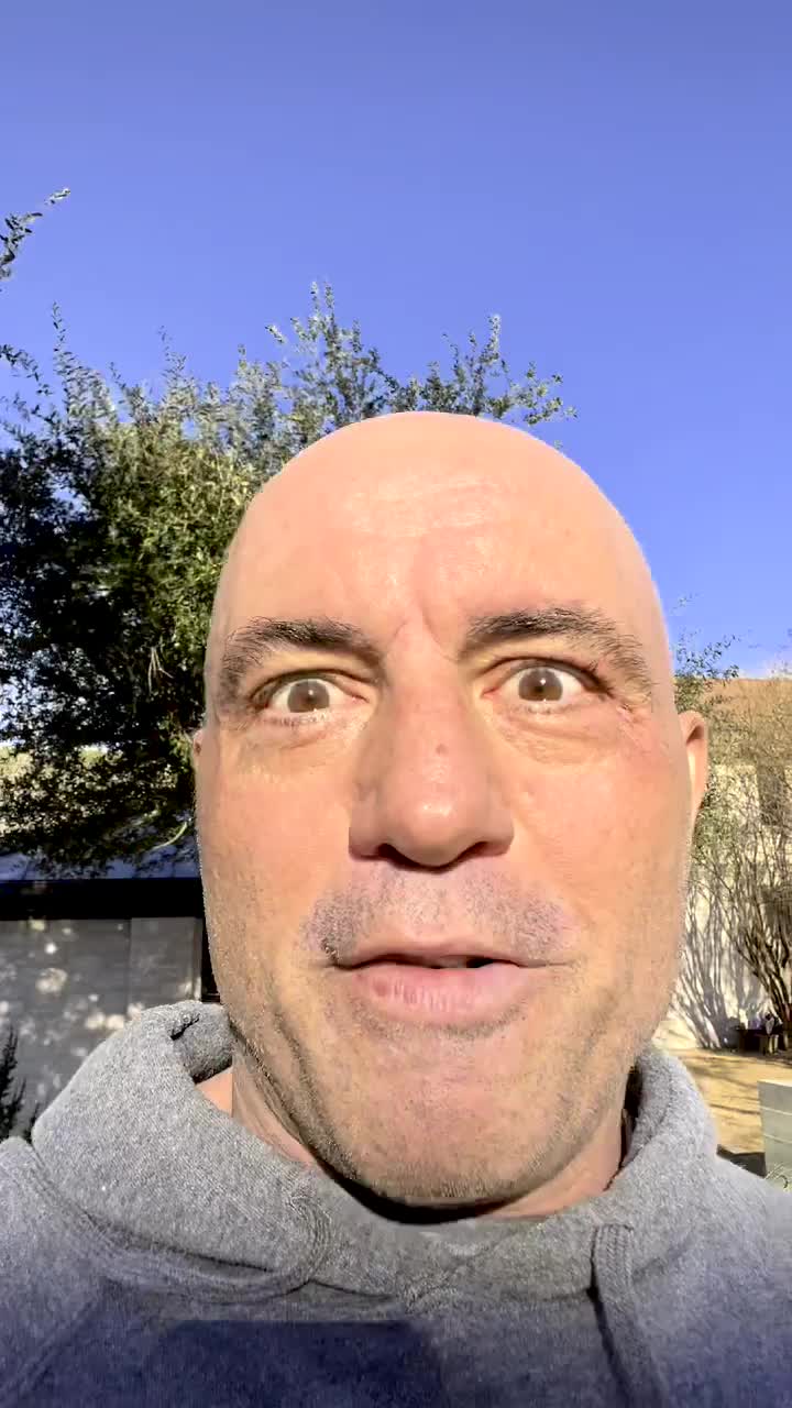 Joe Rogan Breaks Silence After Neil Young Controversy Joe Rogan Breaks Silence After Neil Young Controversy
