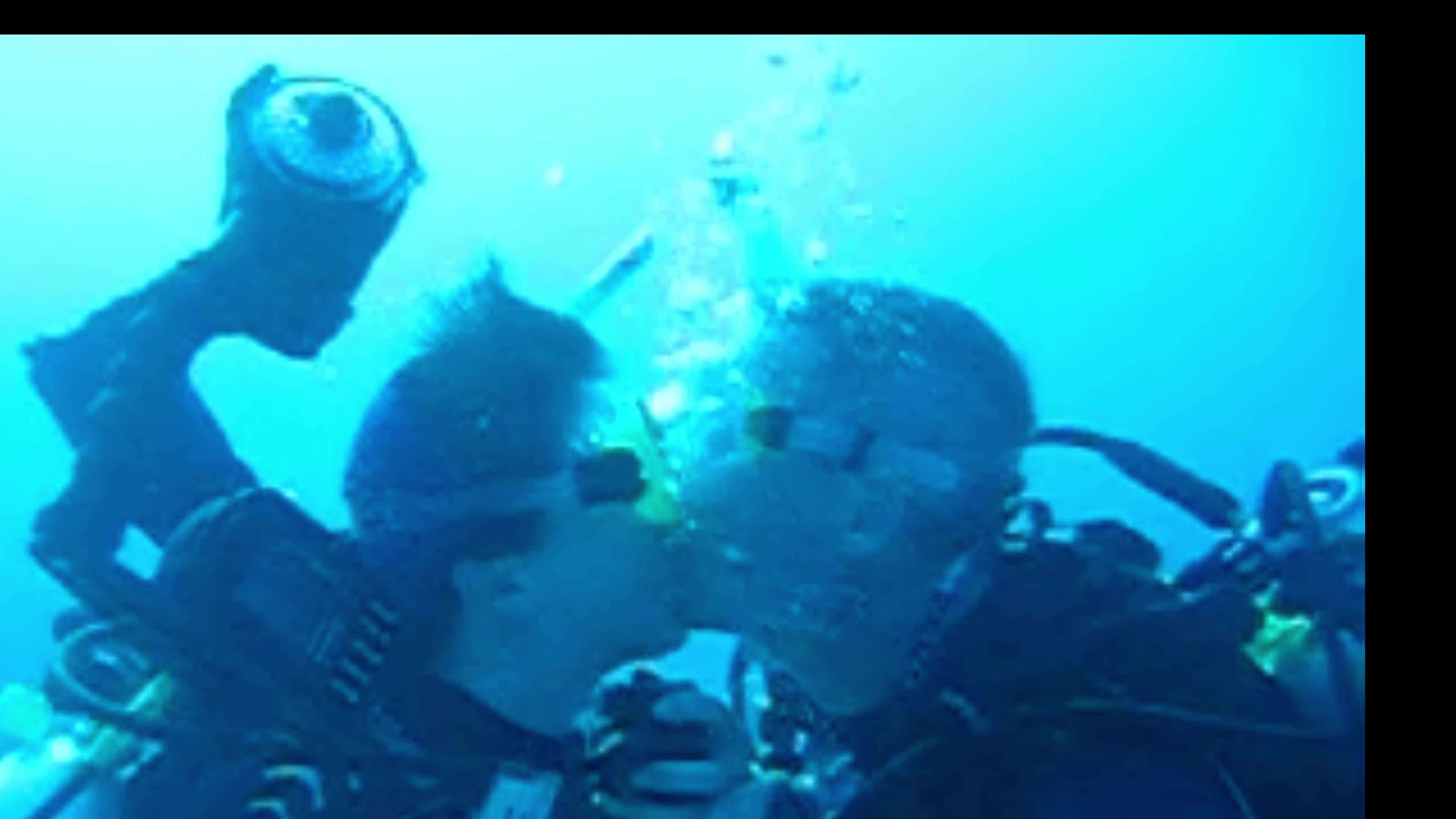 Scuba diver surprises wife with underwater wedding