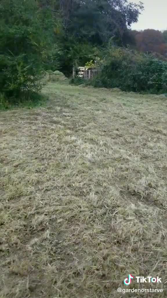 Prepare the Ground for a Garden Bed Part 3