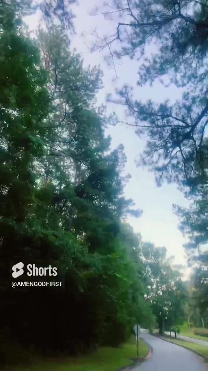 chosen ones allow God to take the wheel!