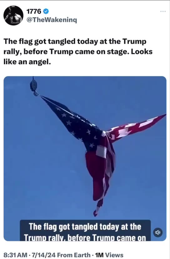 Tangled Flag at Rally Looks Like an Angel