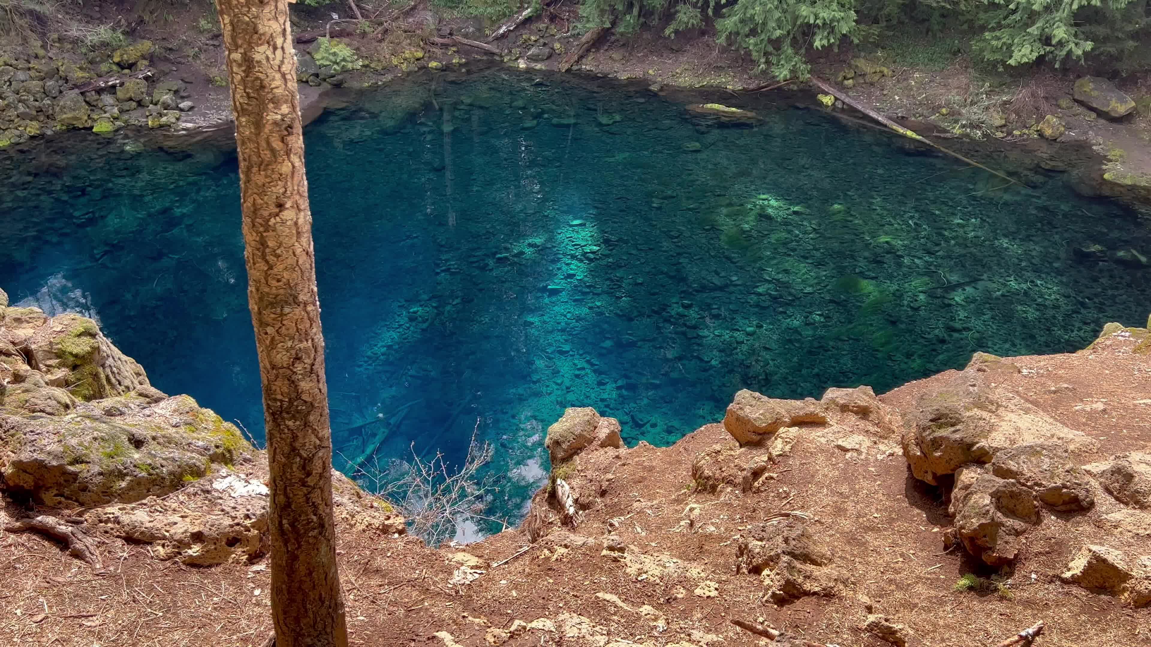 World Famous Tamolitch Blue Pool – Willamette National Forest – Central ...