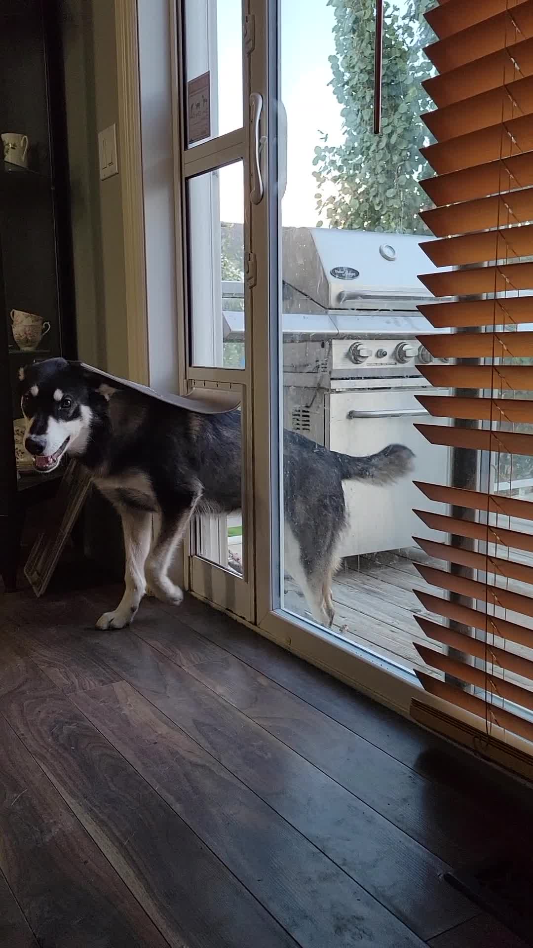 Problem solving 101 (attempt number 2)